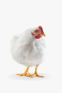 About – Jadeed Group