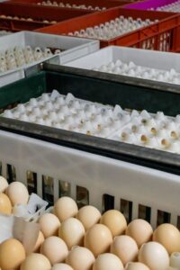 About – Jadeed Group